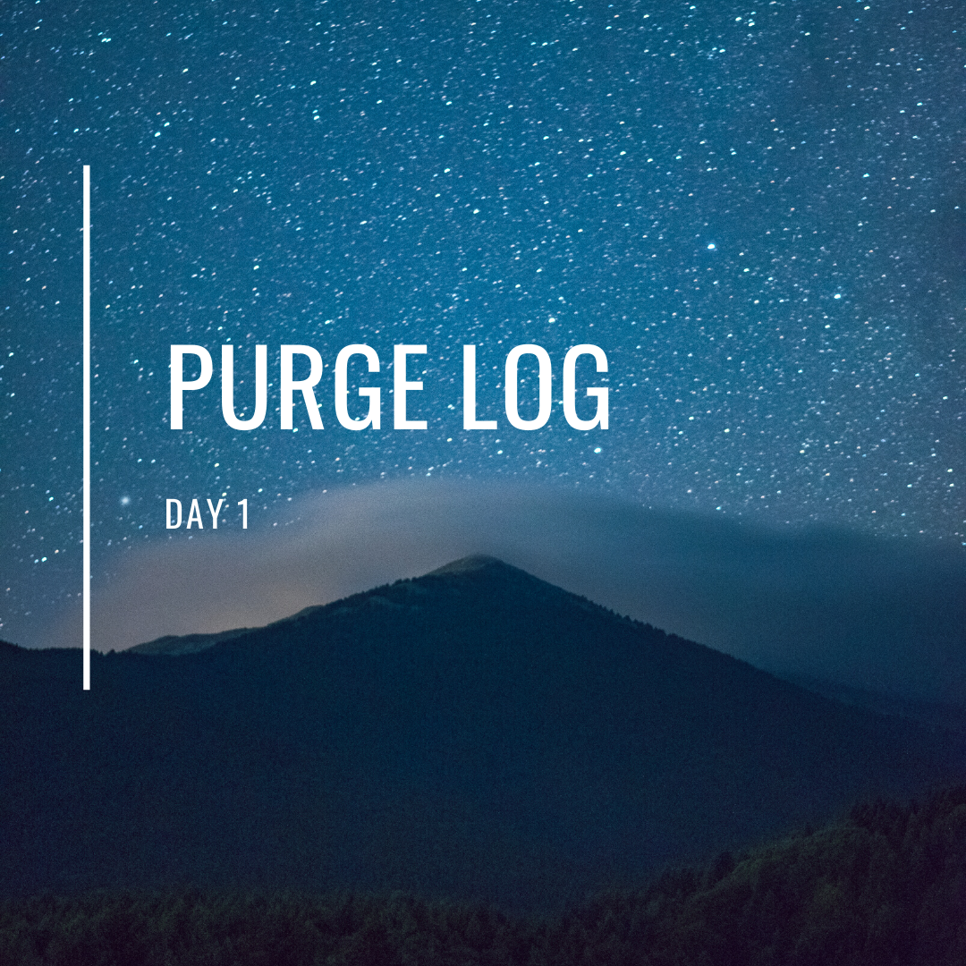 Purge Log, Day 1- Only Small Things – In Search of the Lean Six Life