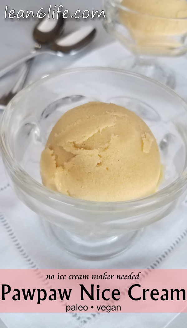 Pawpaw Nice Cream, Week Ending 3/1/2020 – In Search of the Lean Six Life