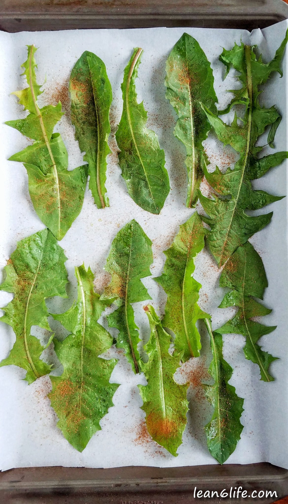 Dandelion Chips, Week Ending 5/24/2020 – In Search of the Lean Six Life