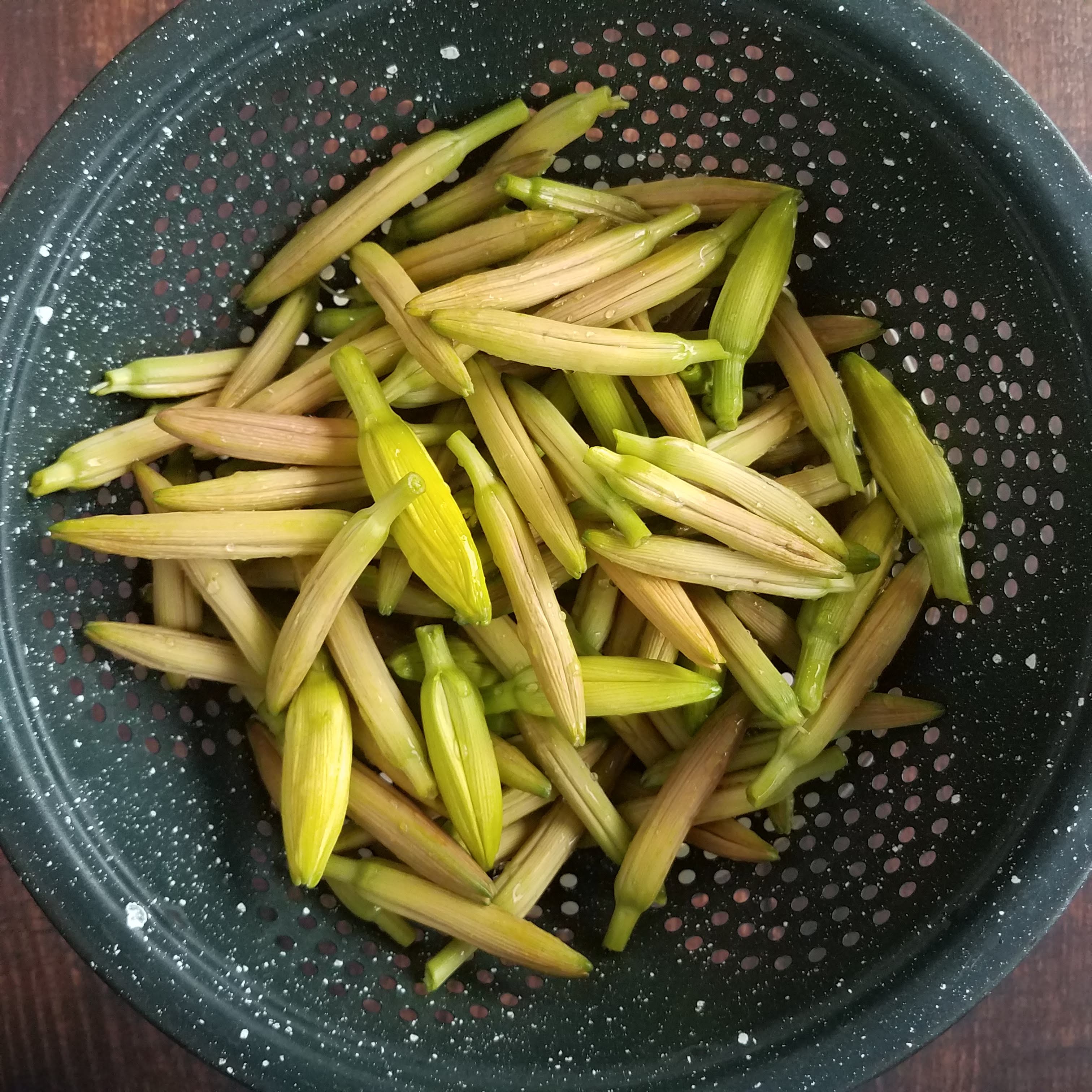 Stir Fried Daylily Buds, Week Ending 6/21/2020 – In Search of the Lean ...
