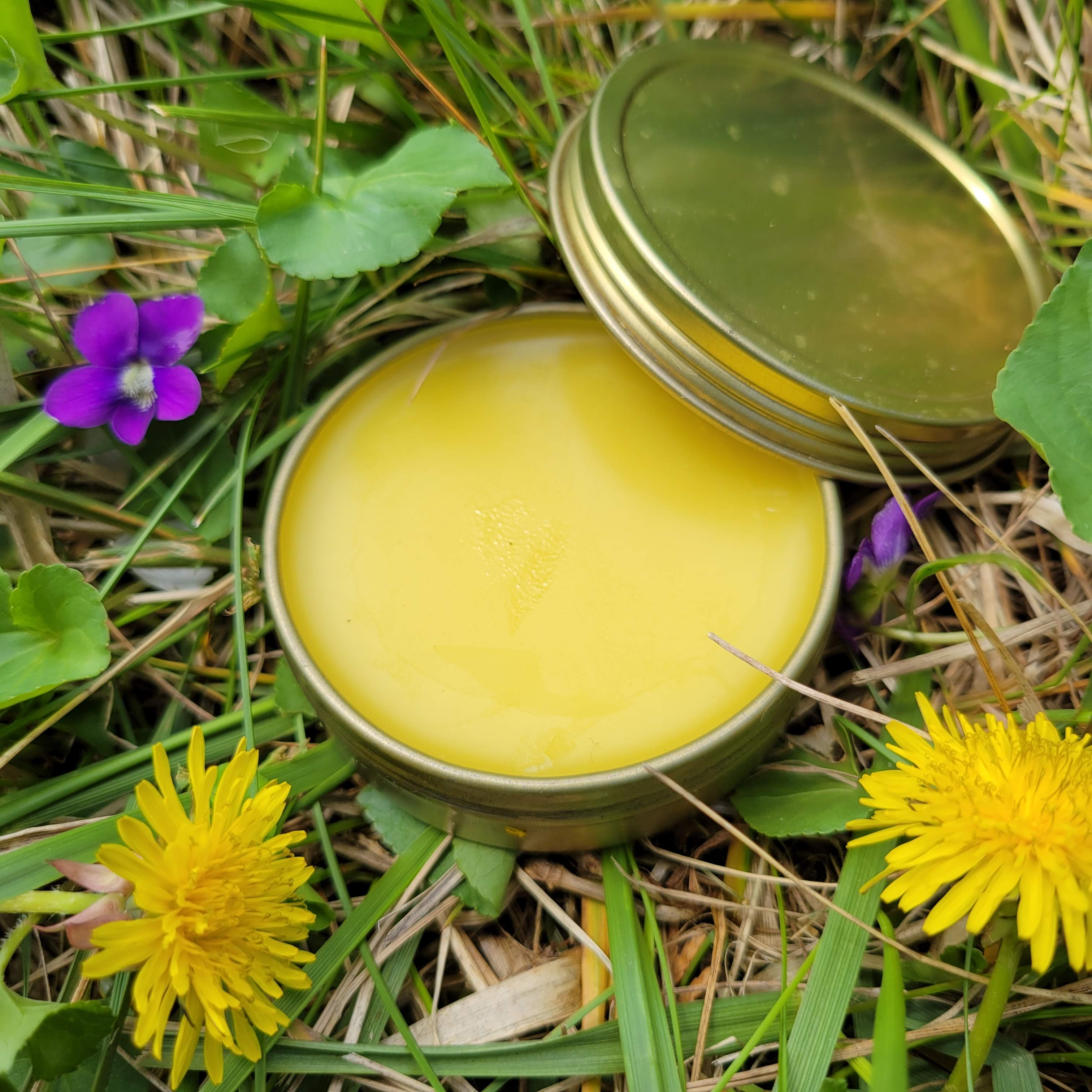 Spring Salve – In Search of the Lean Six Life